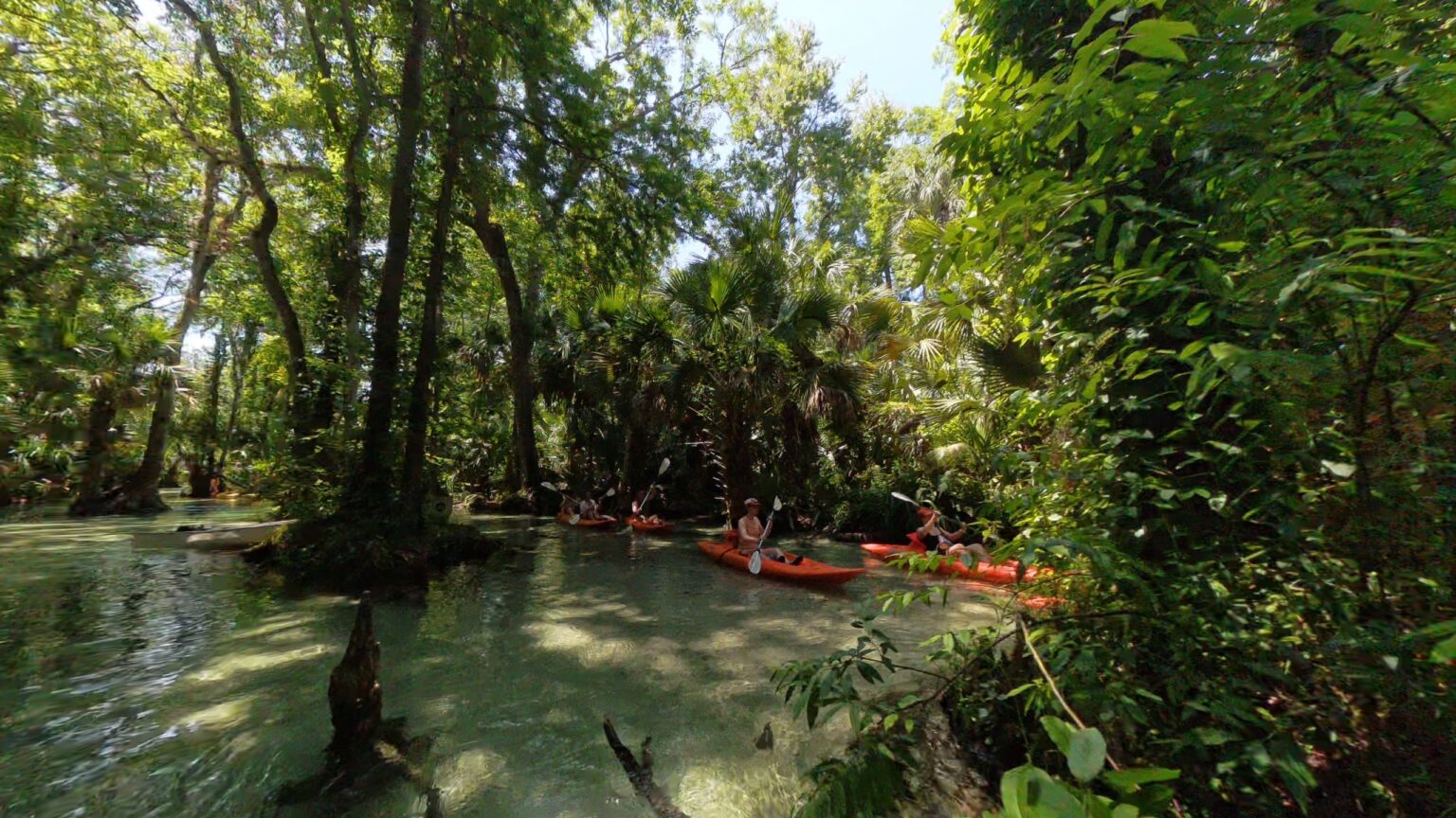 Plan Your Perfect Day Trip to King’s Landing from Jacksonville ...