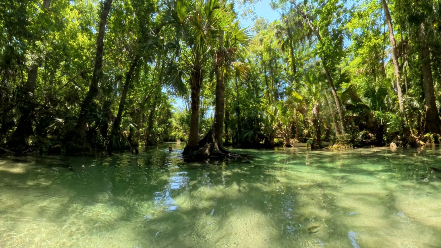 Plan Your Perfect Day Trip to King’s Landing from Jacksonville ...