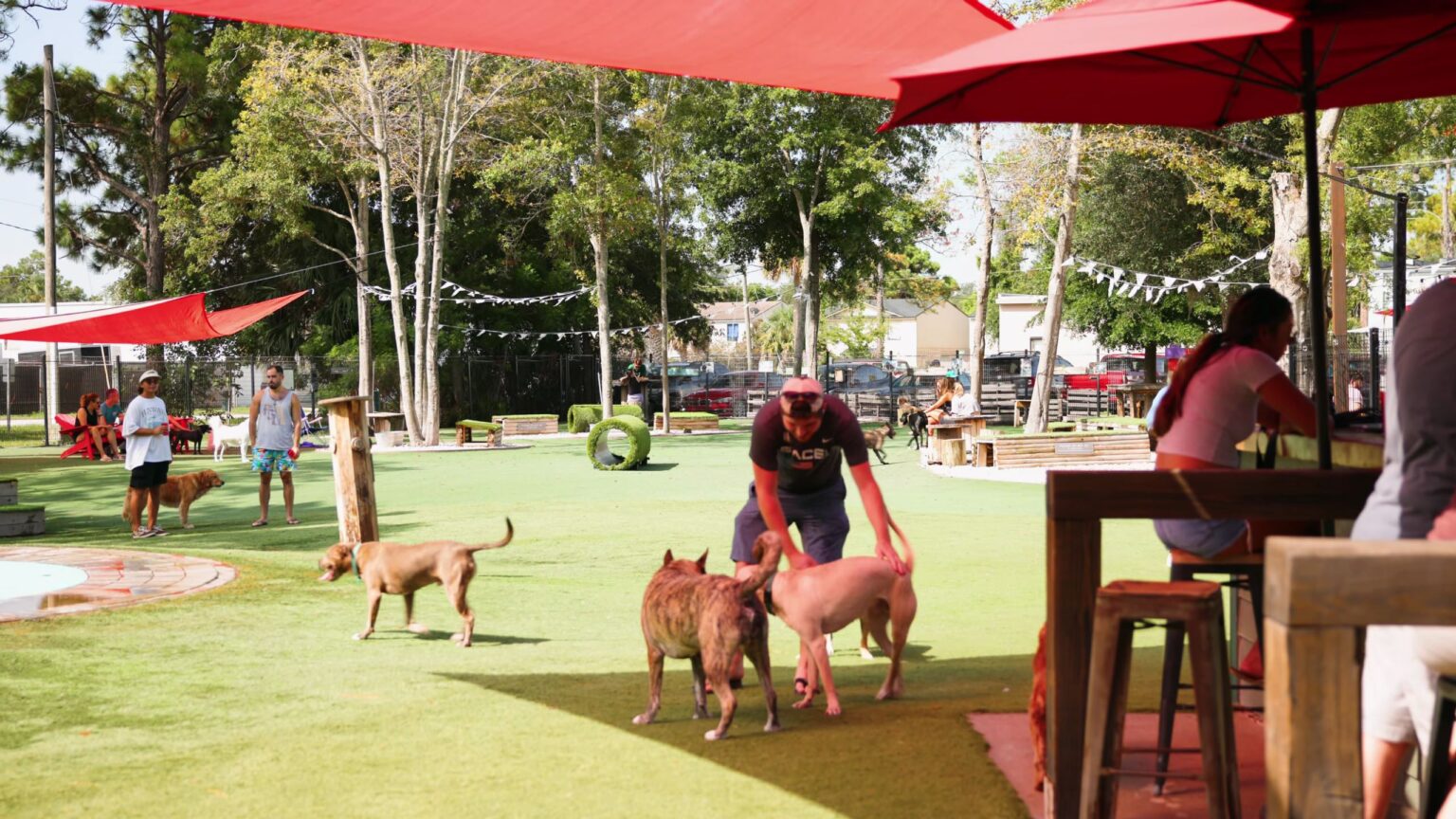 Atlantic Beach Neighborhood Guide | Coastal Activities in Jacksonville