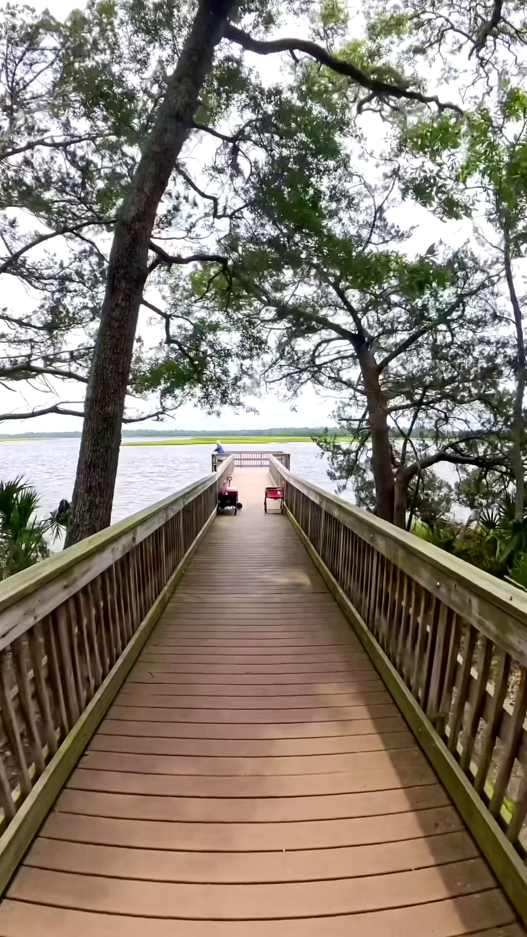 8 Hidden Gem Parks to Visit in Jacksonville | Explore Jacksonville