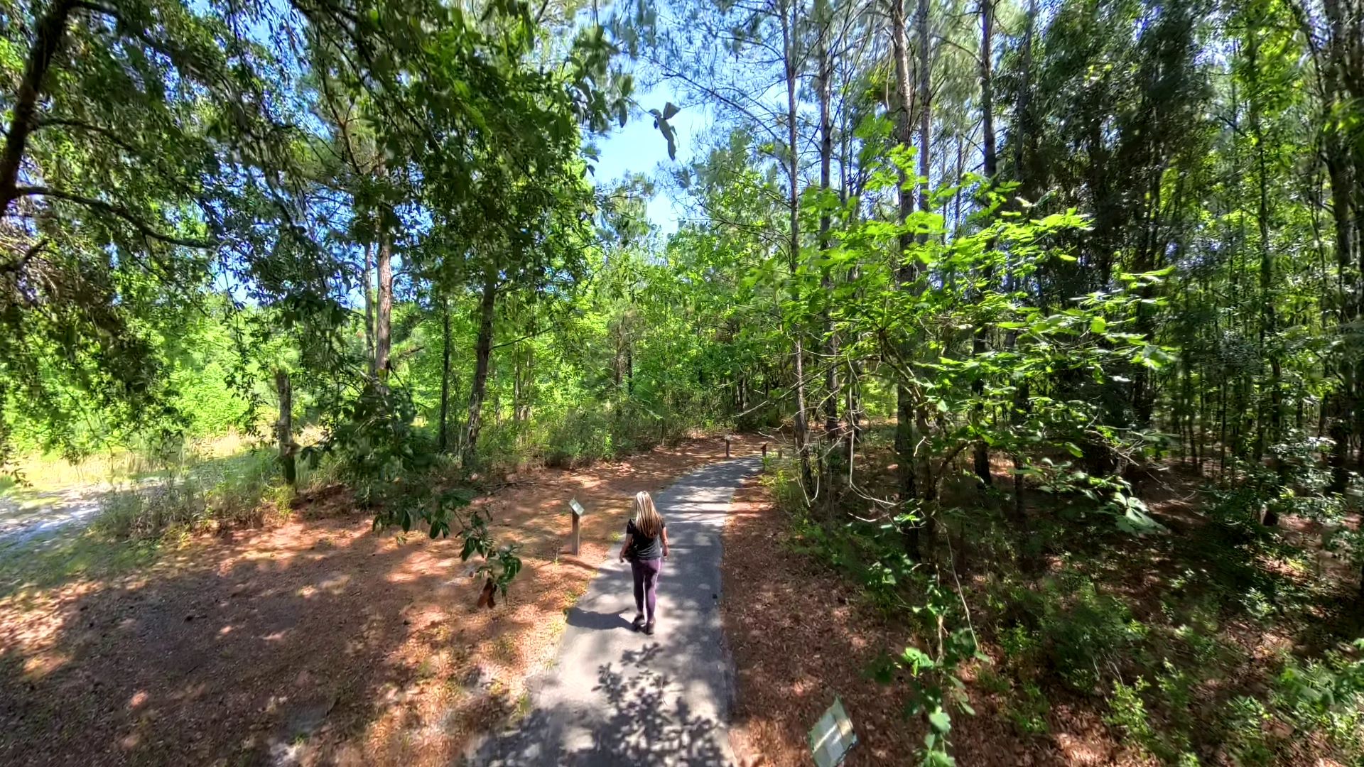 8 Hidden Gem Parks to Visit in Jacksonville | Explore Jacksonville