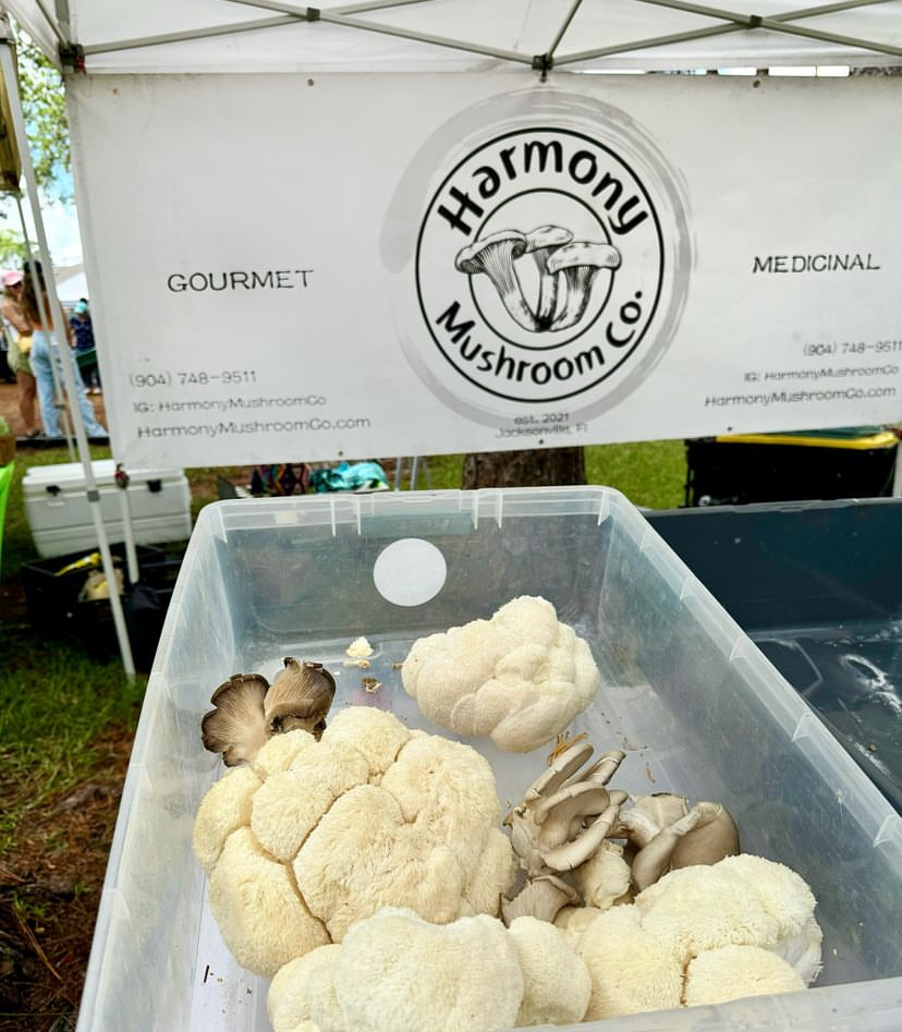 Your Guide to the Atlantic Beach Farmers Market